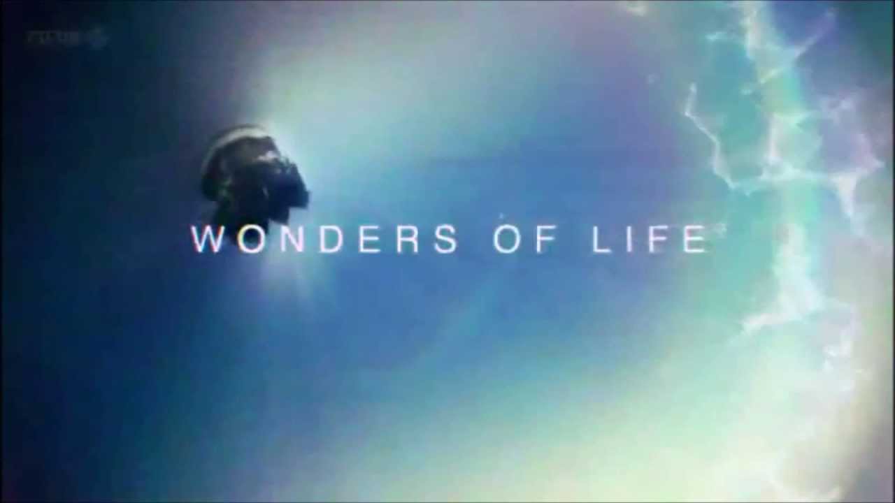 Wonders of Life ★ Brian Cox ★ Full Documentary In Description - YouTube