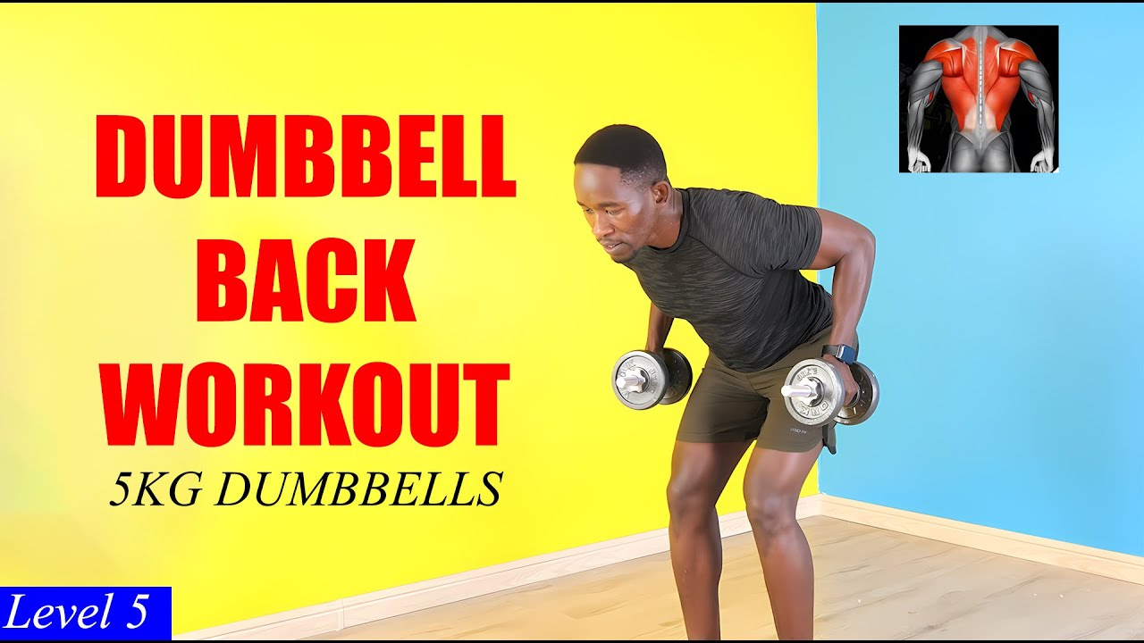 The Most Effective Dumbbell Back Workout You Can Do without A Bench ...