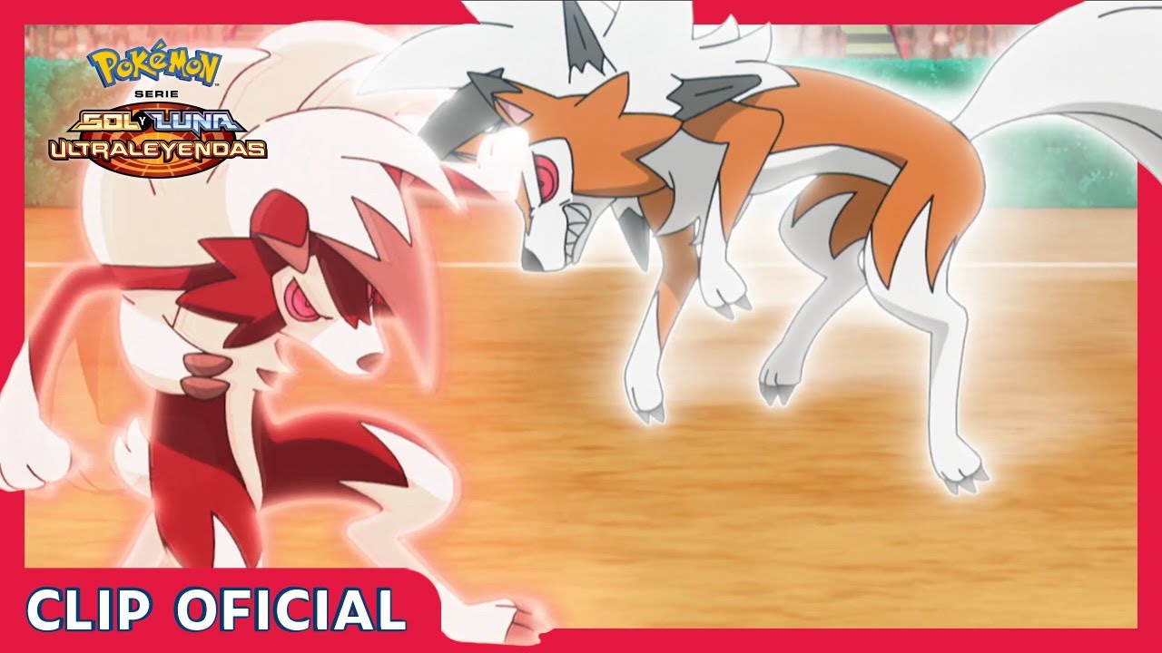 ¡Un combate de Lycanroc contra Lycanroc! | Serie Pokémon Sol y Luna ...