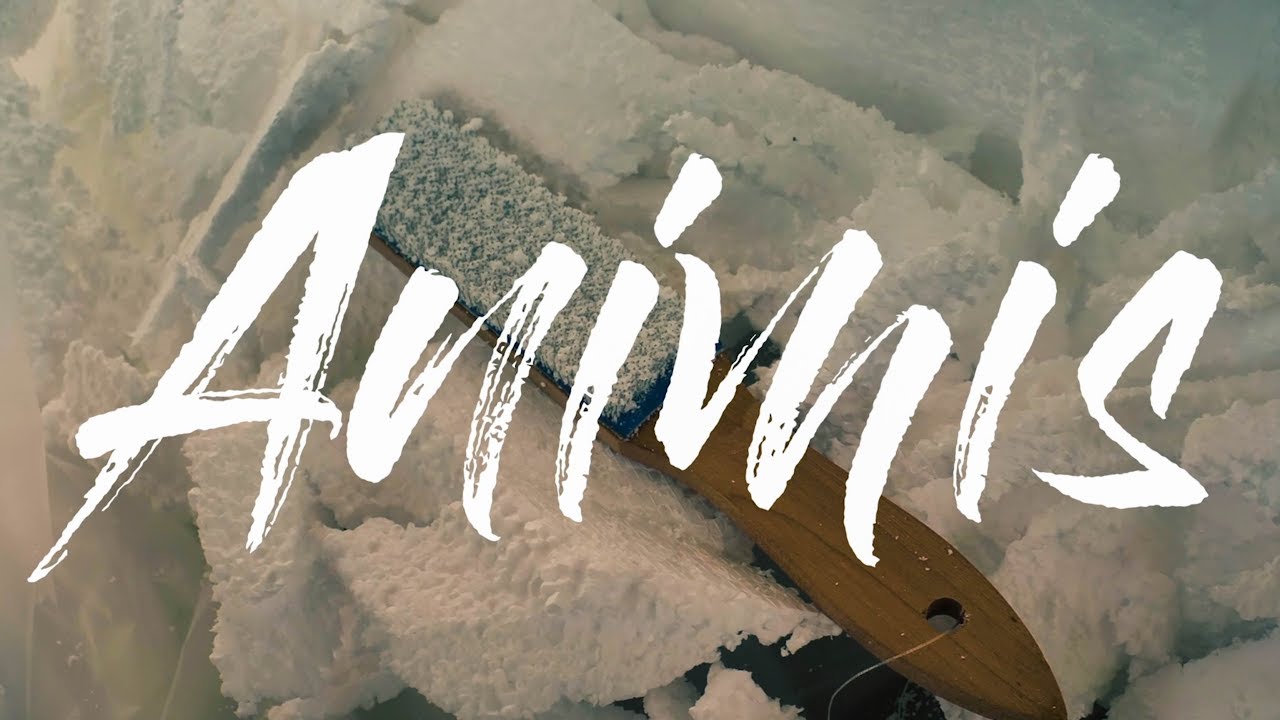 Animis - Documentaire - YouTube