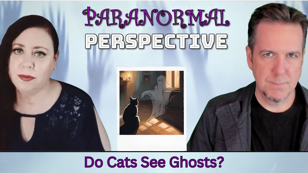 Do Cats See Ghosts? | Paranormal Perspective - YouTube
