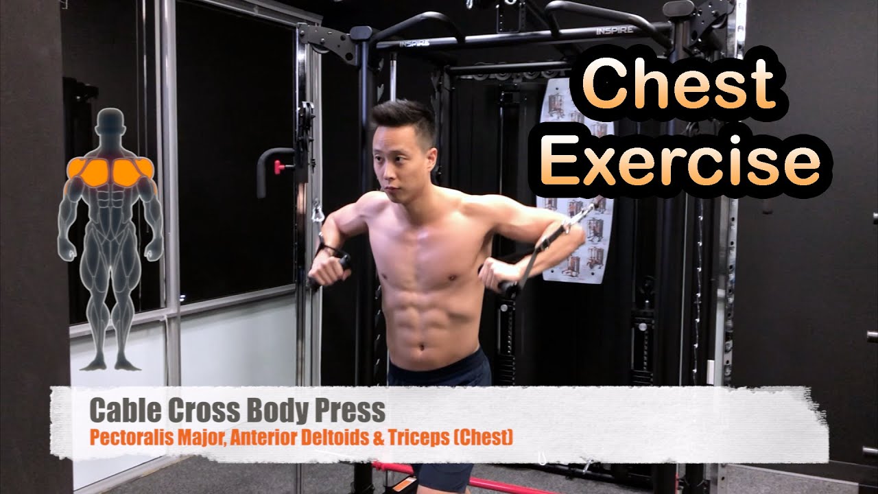Chest Exercise - Cable Cross Body Press - Exercise Library - YouTube