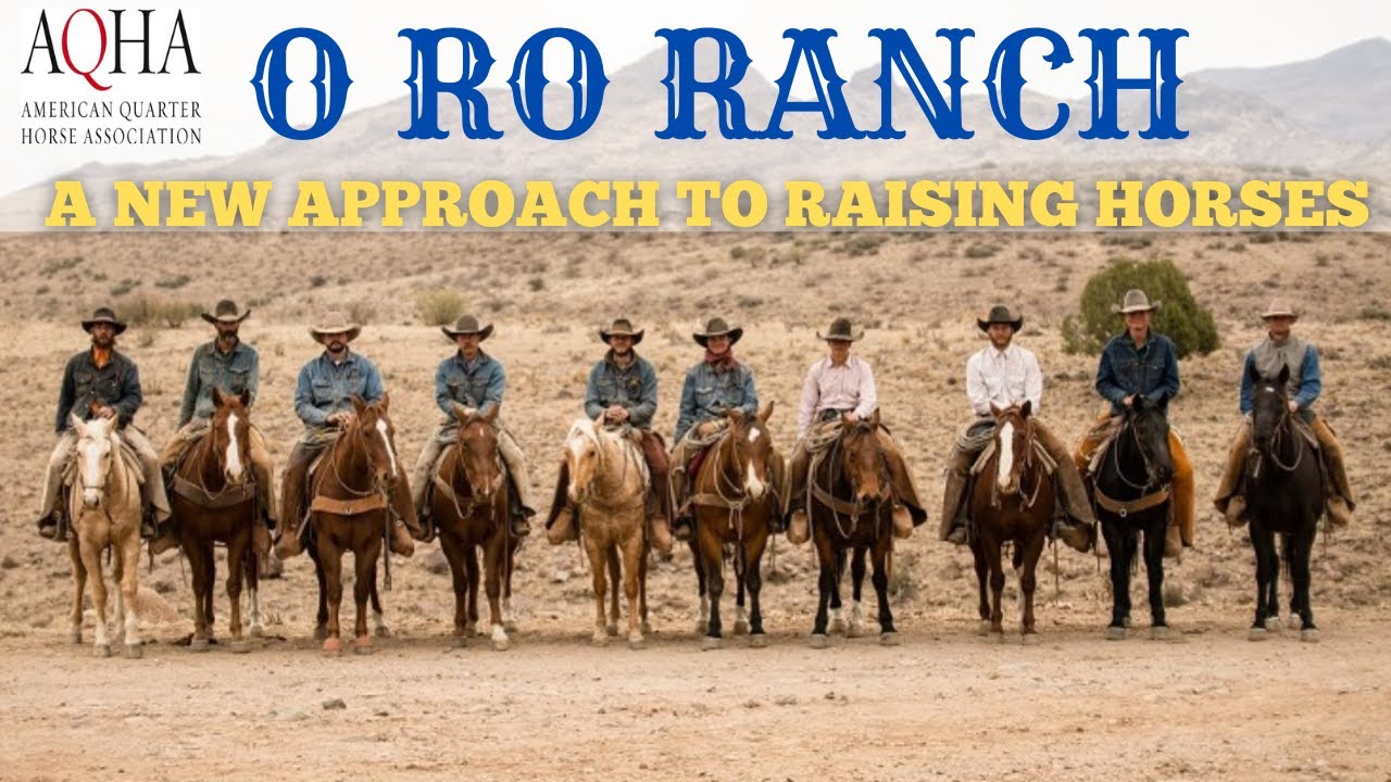 O RO Ranch's Self-Sustaining Horse Program: Why This New Approach To ...