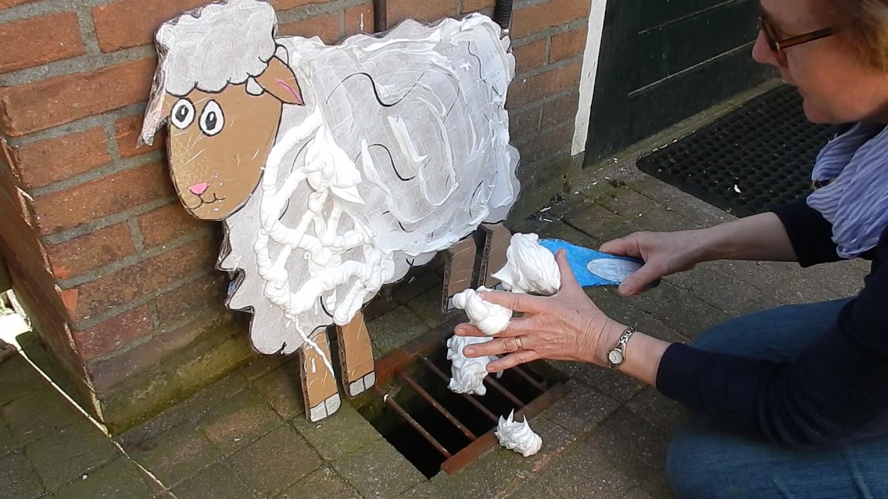 Schapen scheren met scheerschuim - YouTube