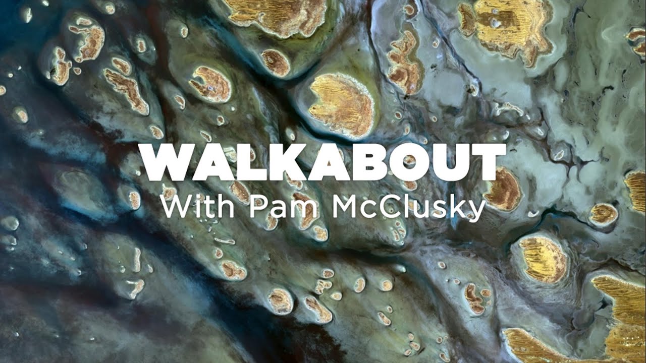 Virtual Art Talks: All About Walkabout - YouTube