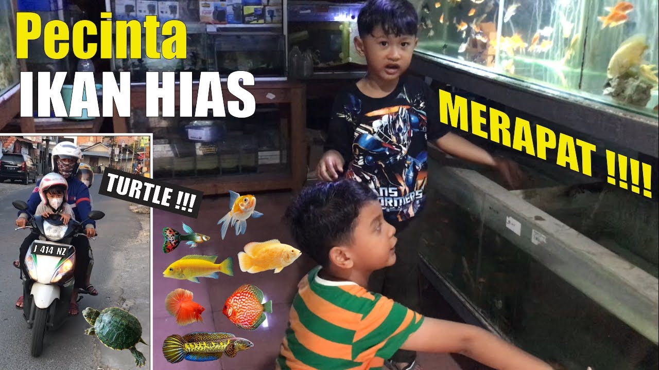 GAWAT BAHAYA RAYUAN MAUT MINTA BORONG SEMUA KURA KURA TURTLE DLL ...