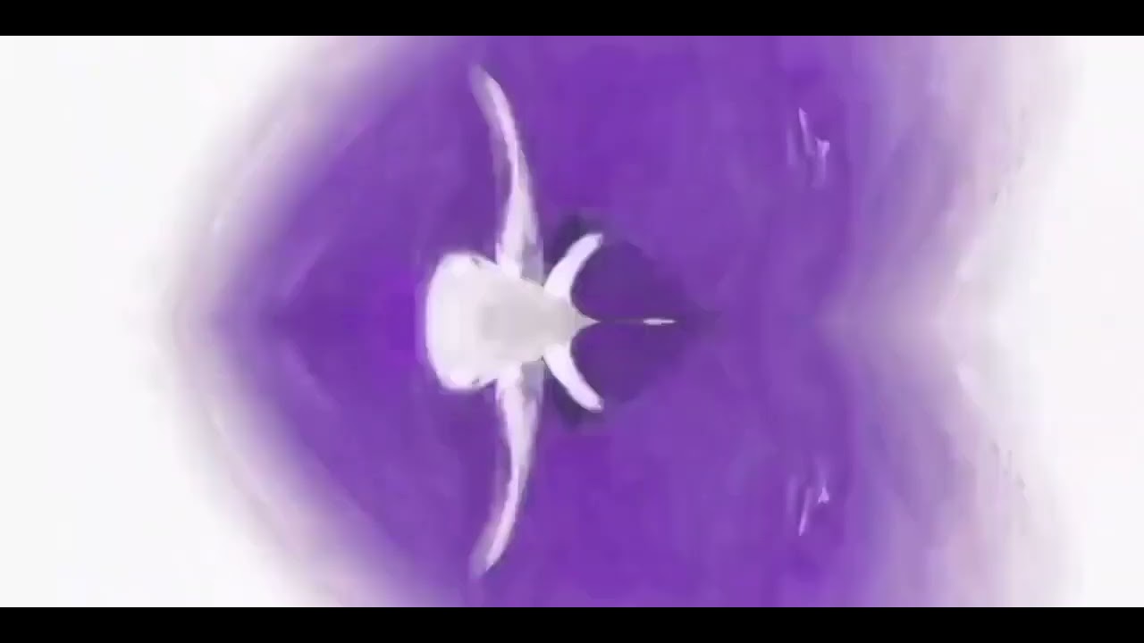 Scott Free Productions Logo in O-Major - YouTube