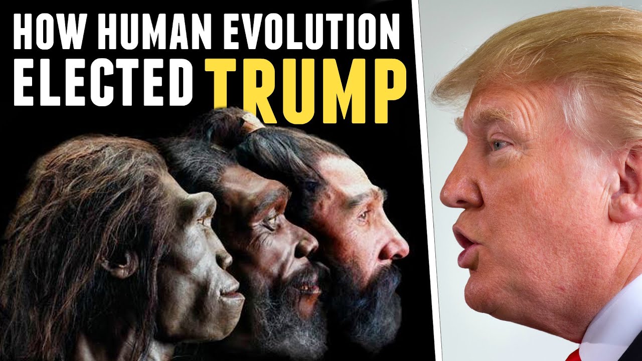 How Human Evolution Elected Trump - YouTube