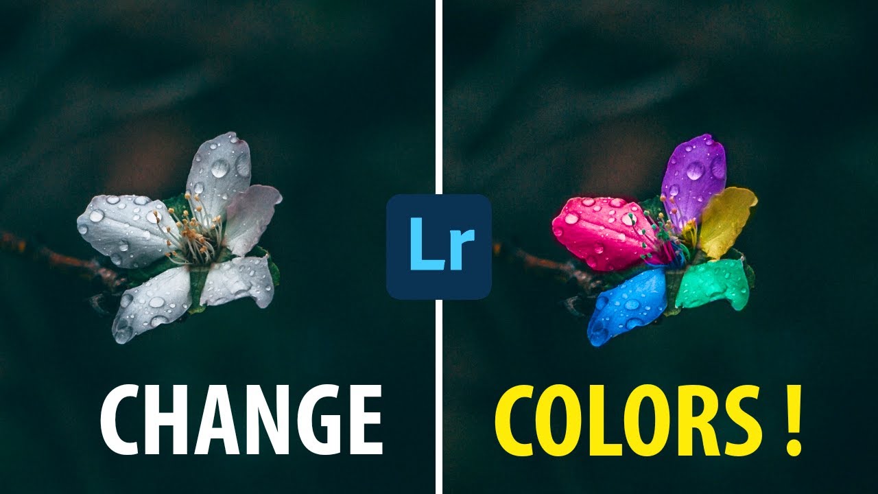 How To EASILY Change The Color Of ANYTHING In Lightroom Mobile Tutorial how-to-easily-change-the-color-of-anything-in-lightroom-mobile-tutorial