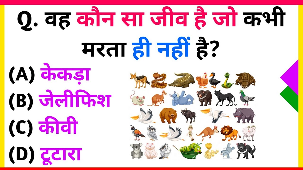 Samanya Gyan | General Knowledge | Interesting Gk | SR GK STUDY ADDA - YouTube