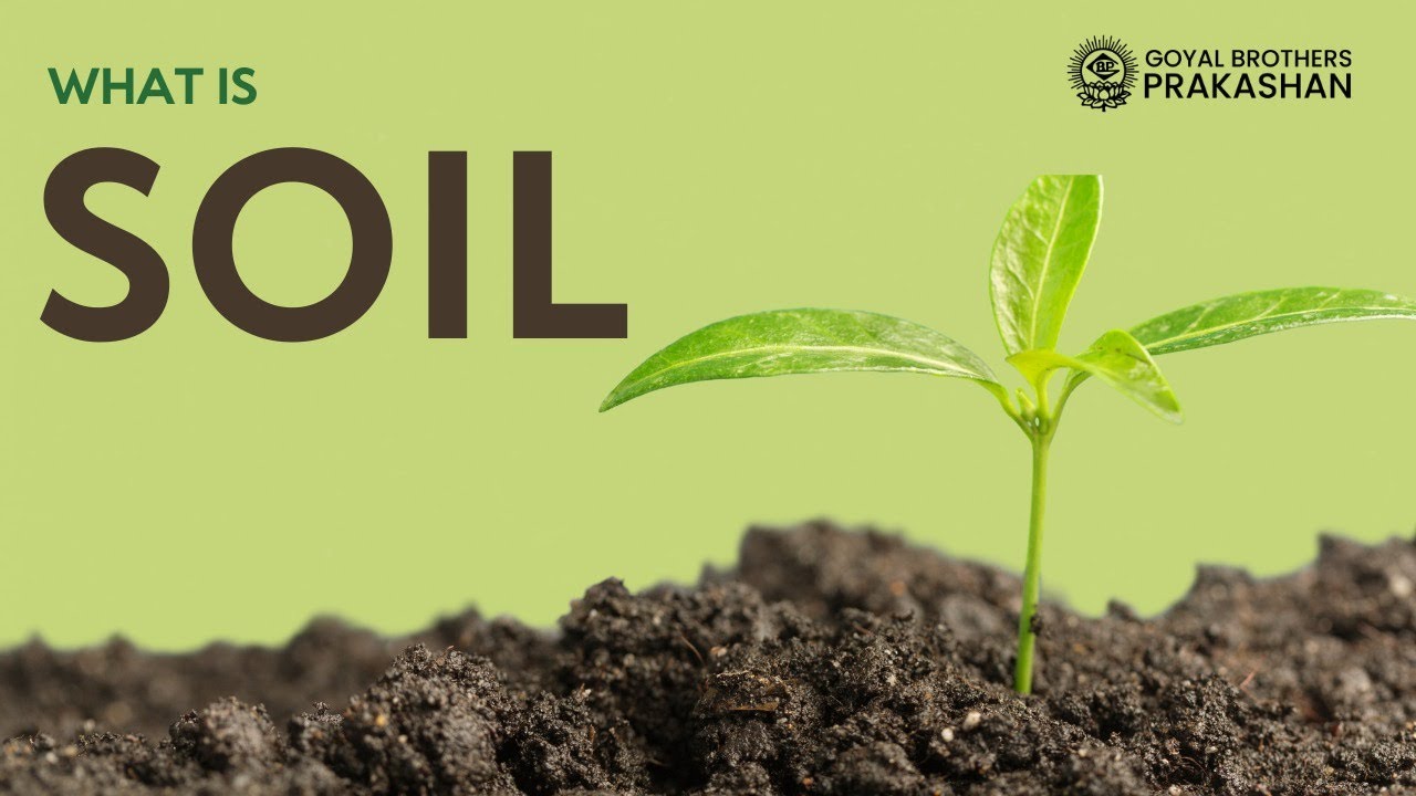 What is Soil | Class 4 | Social Studies Junior | Goyal Brothers ...