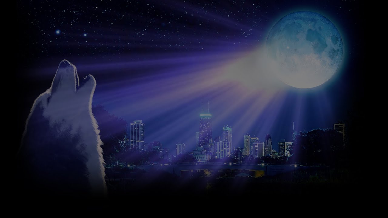 BEST 20 STEAM WOLF BACKGROUNDS - YouTube