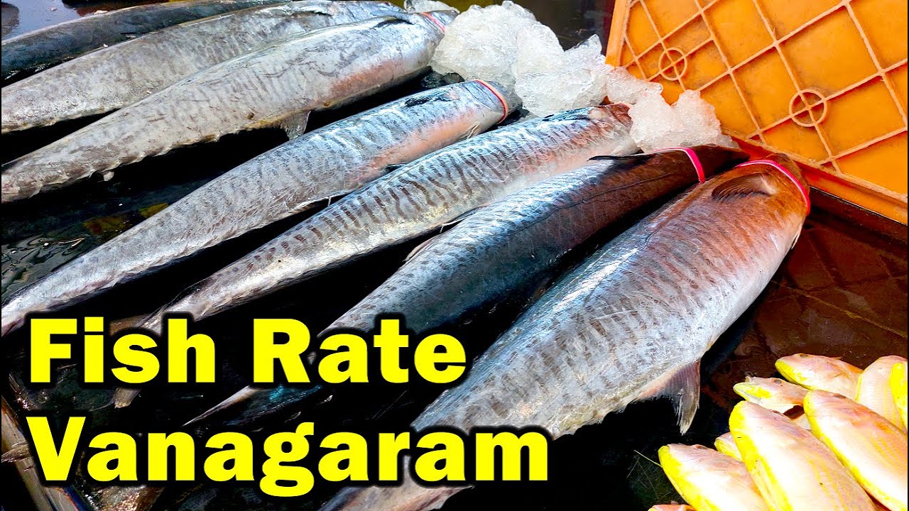 இந்த வாரம் மீன் விலை நிலவரம்||Vanjaram Fish Rate at Vanagaram ...