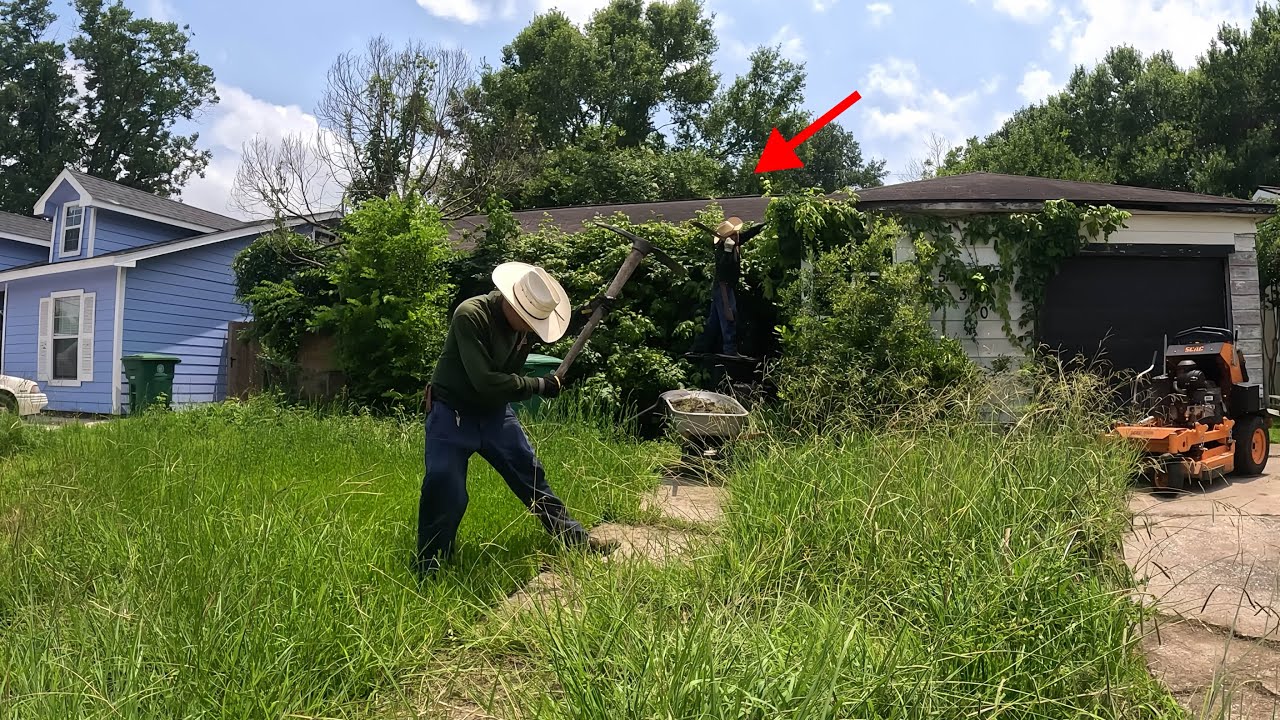 Extremely OVERGROWN yard HASN’T been cut in YEARS ! (satisfying house ...