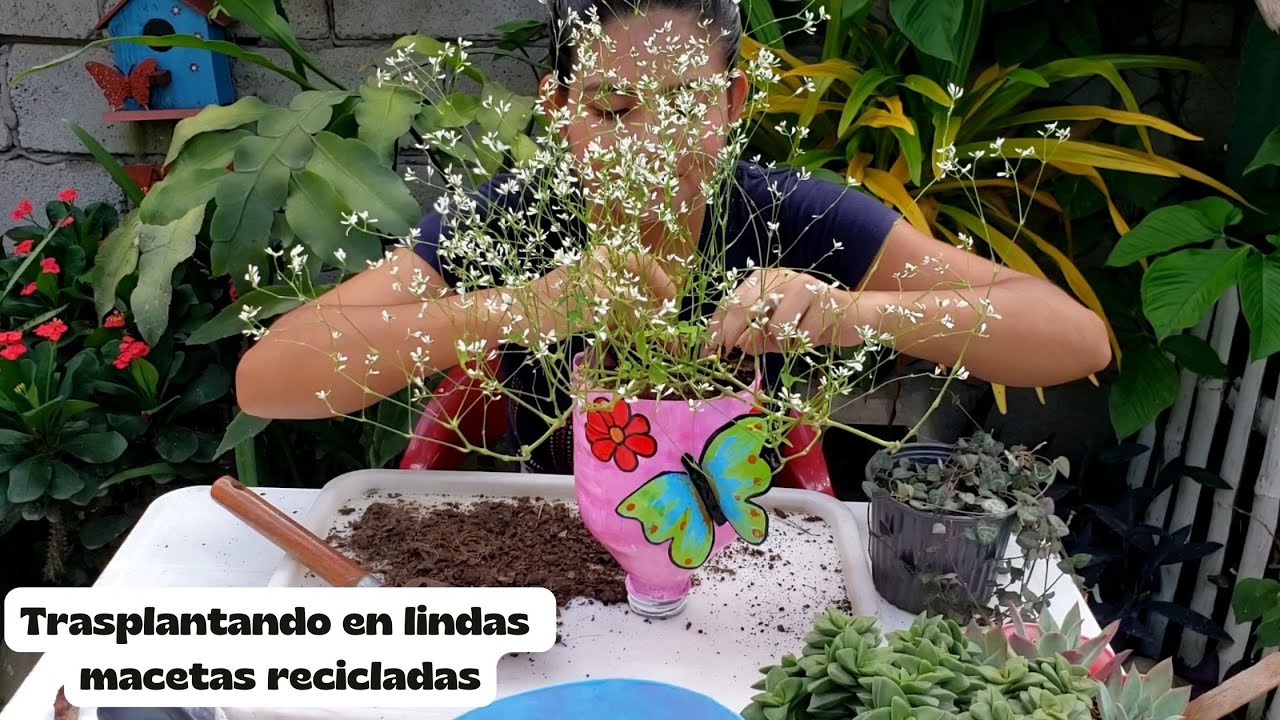 Trasplantando nuevas plantas en lindas Macetas recicladas - YouTube