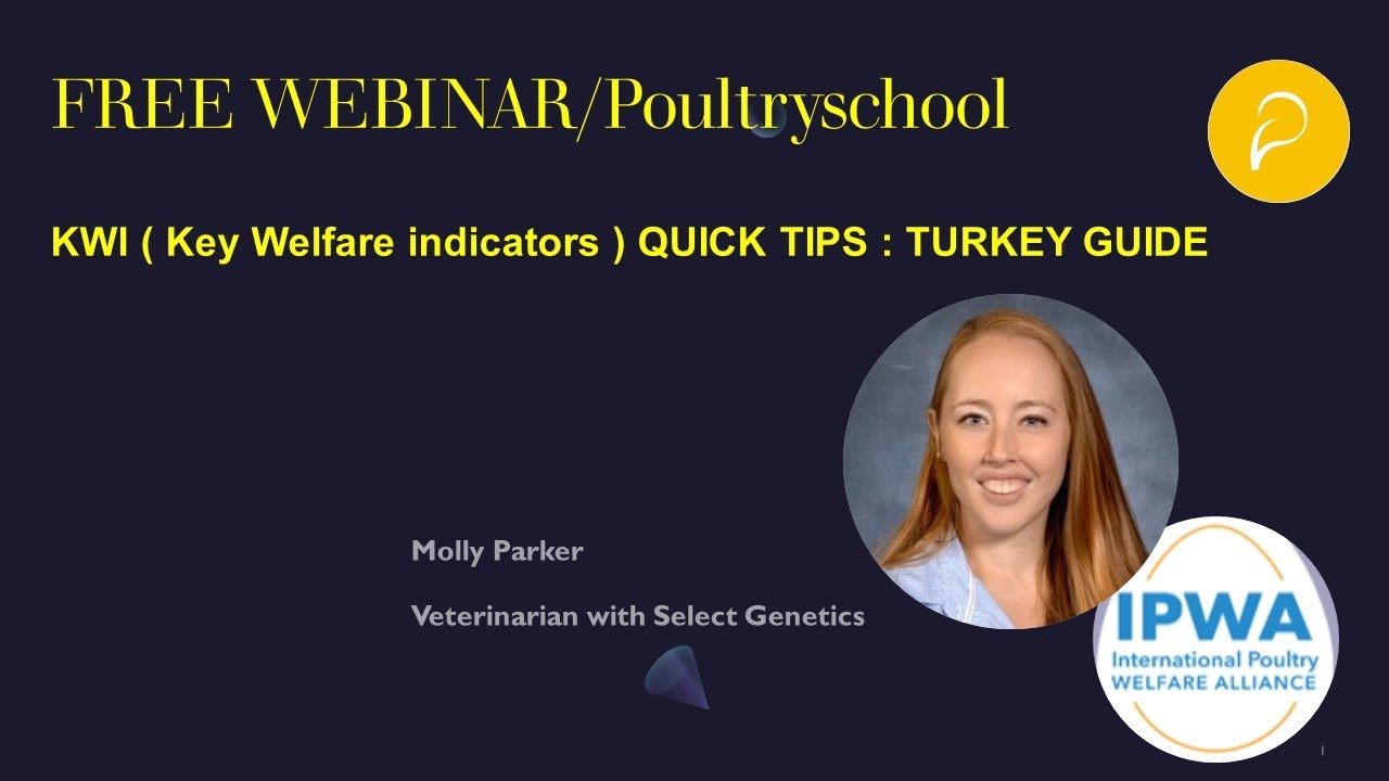 Key Welfare Indicators To Improve Turkey Welfare - Molly Parker, Select ...