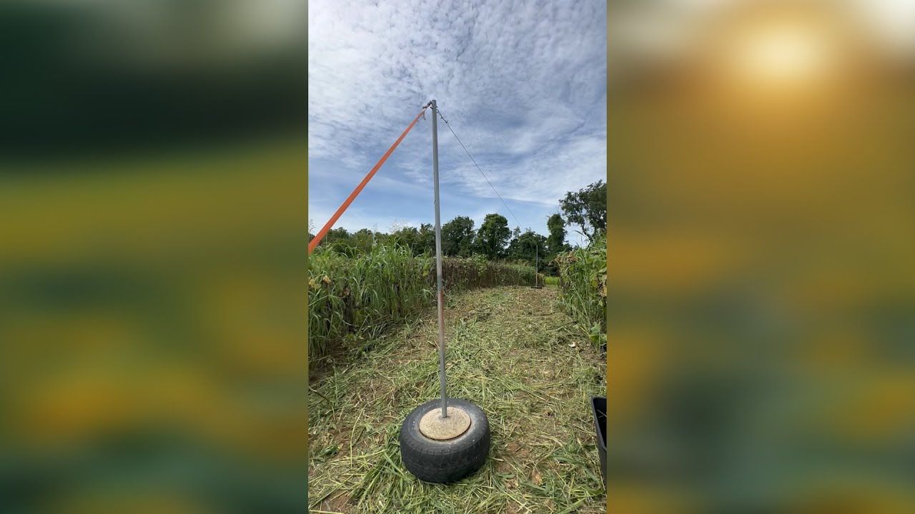 Super Easy Dove "Power Line" Construct - YouTube