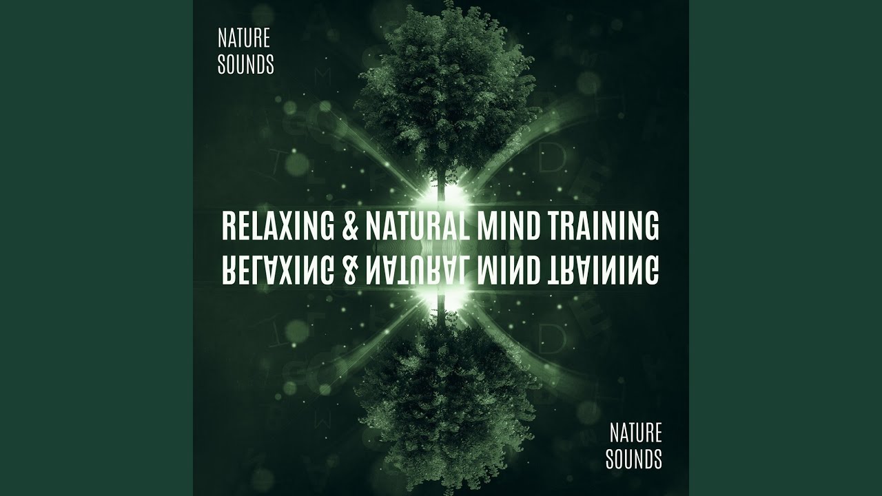 Awareness (Harp & Storm) - YouTube