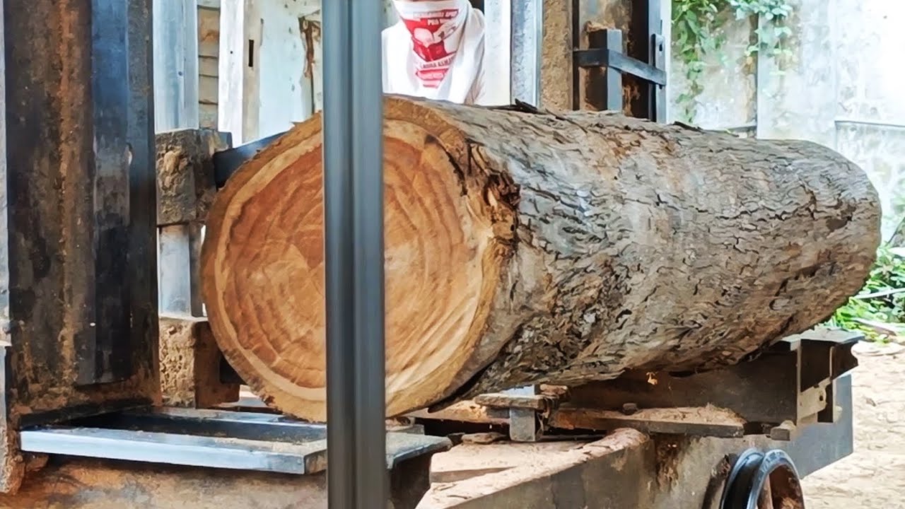 The process of sawing a 25 inch diameter log - YouTube