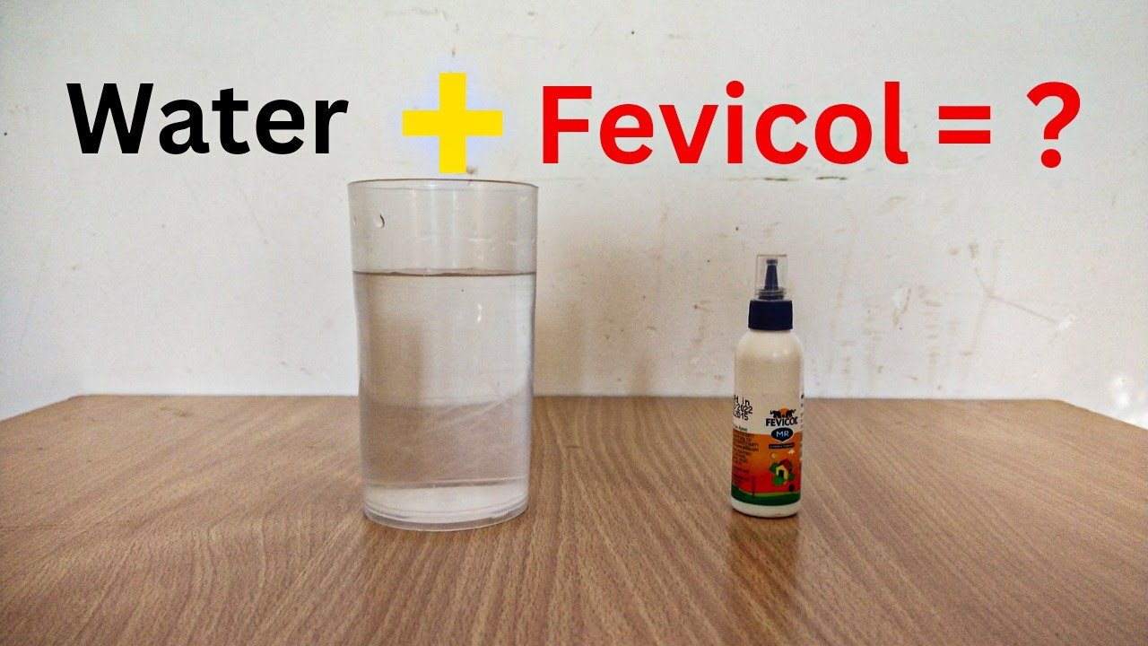 Fevicol and water experiment || Amazing new science experiment || - YouTube