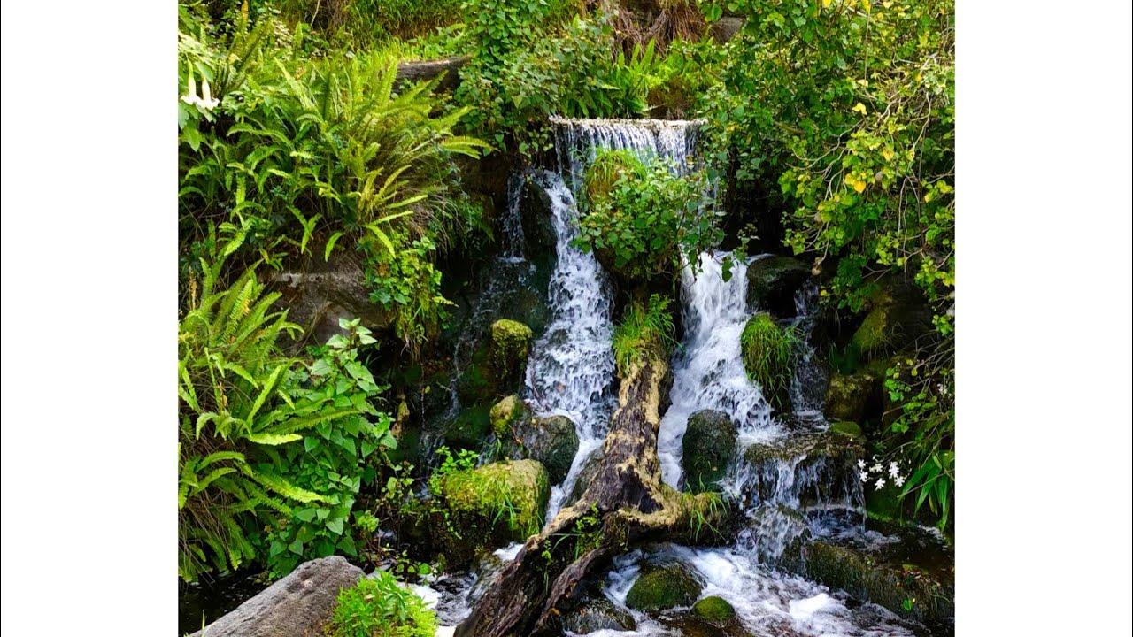 *THE MOST BEAUTIFUL WATERFALLS EVER AT THE ARBORETUM IN ARCADIA ...