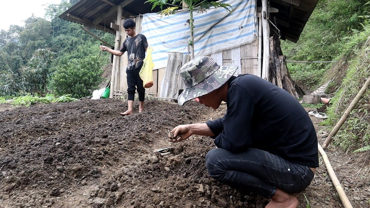 Live freely in the mountains, Grow crops to accumulate food, Take care ...