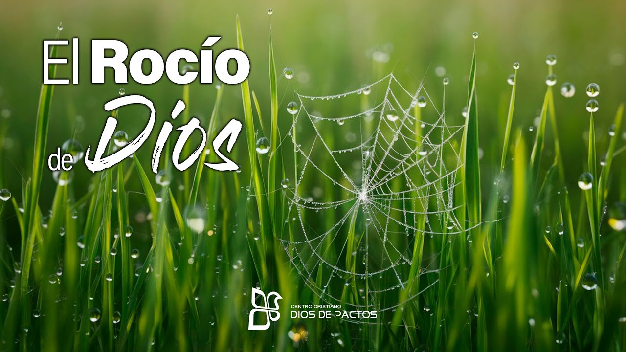 El rocío de Dios - Pra. Marybell Arias - 6-30-2024 - YouTube