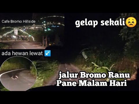 LUMAJANG-MALANG VIA BROMO RANU PANE MALAM HARI, SEREEM - YouTube