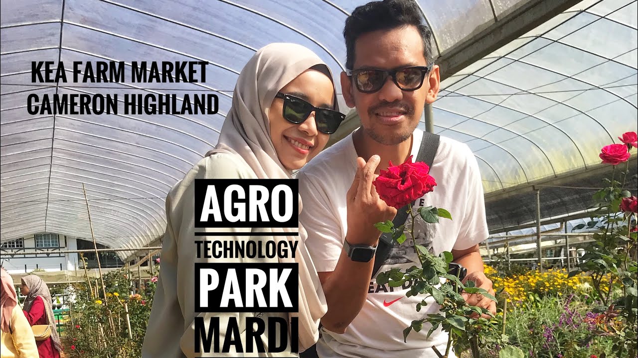 Part 4 | Cameron Highland | Agro Technology Park MARDI | kea Farm - YouTube