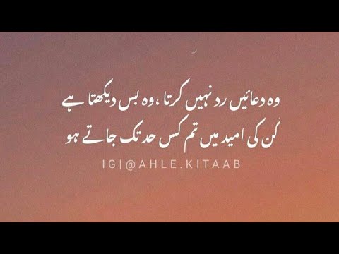 |Best Collection of islami Quotes|whatsapp Status