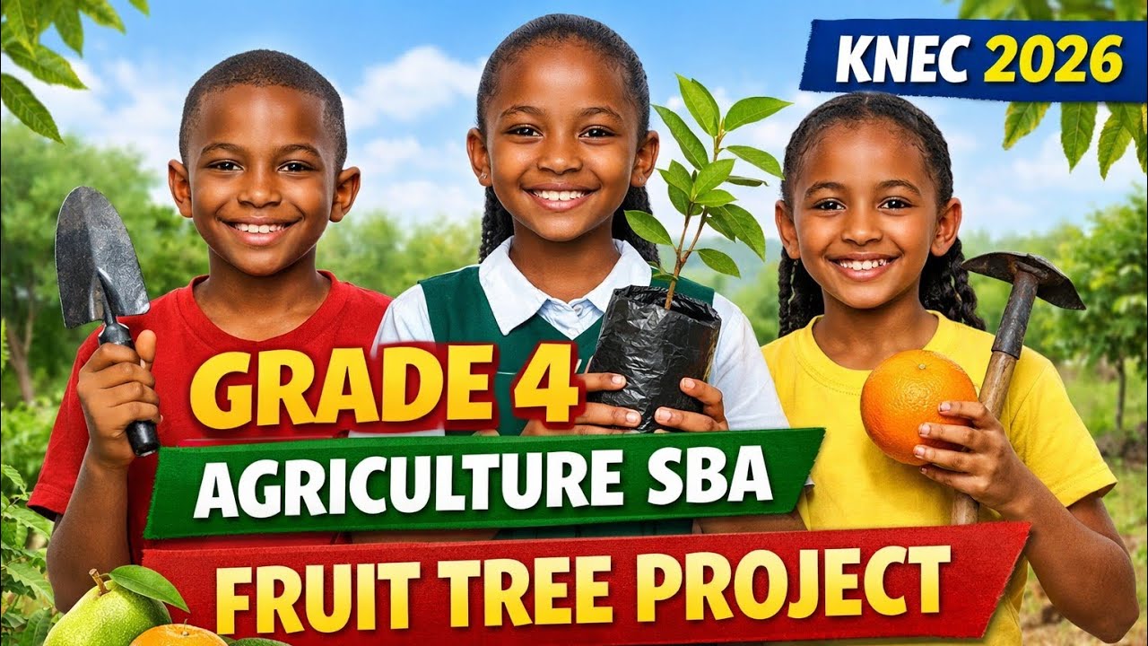 GRADE 4 AGRICULTURE SBA PROJECT 2026 | Fruit Tree Planting Step by Step ...