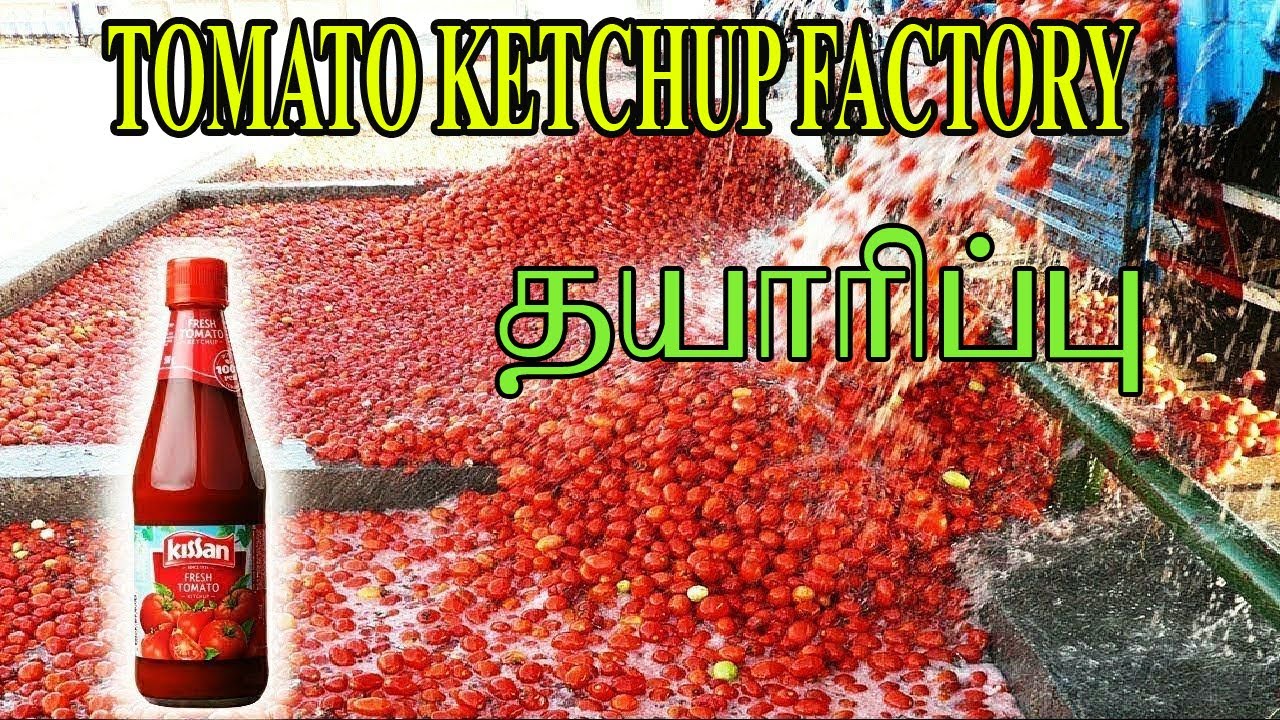 How tomato ketchup is made in factory | Tomato ketchup production in ...