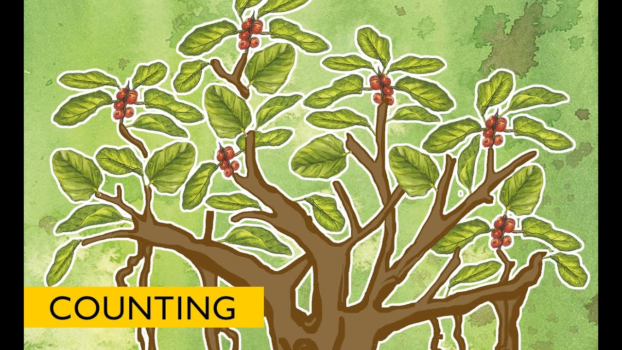 Stories for Kids: Every Tree Counts - YouTube