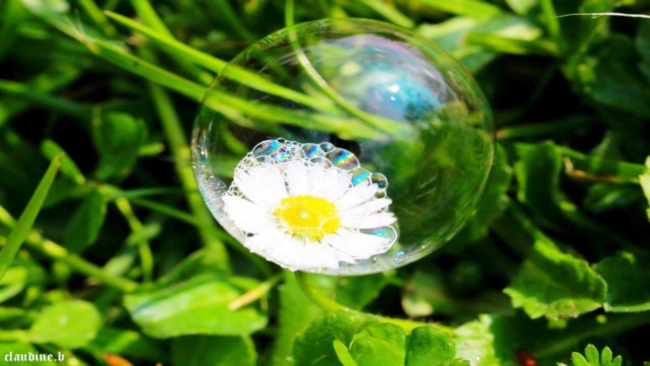 Bulles de savon. - YouTube