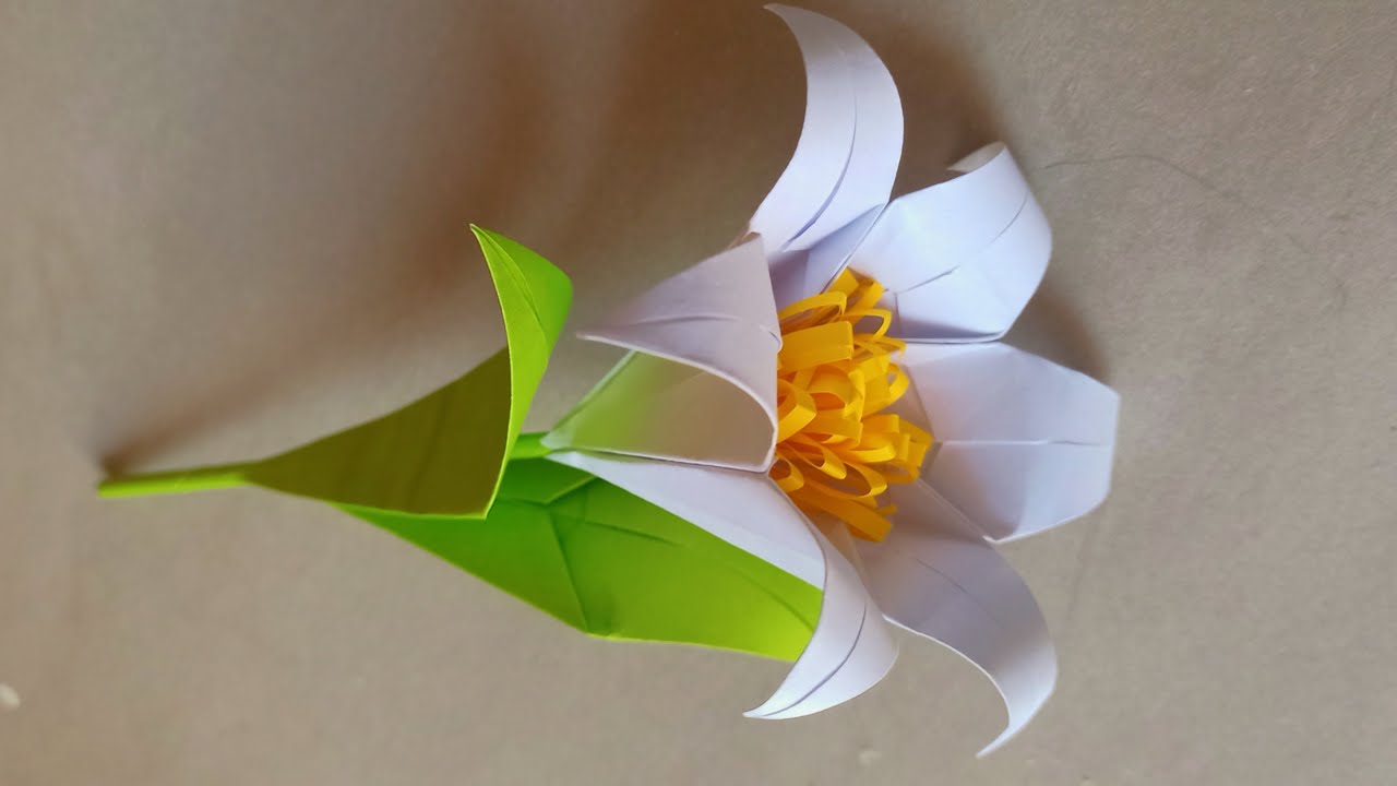 How To Make A Paper Lily Flower