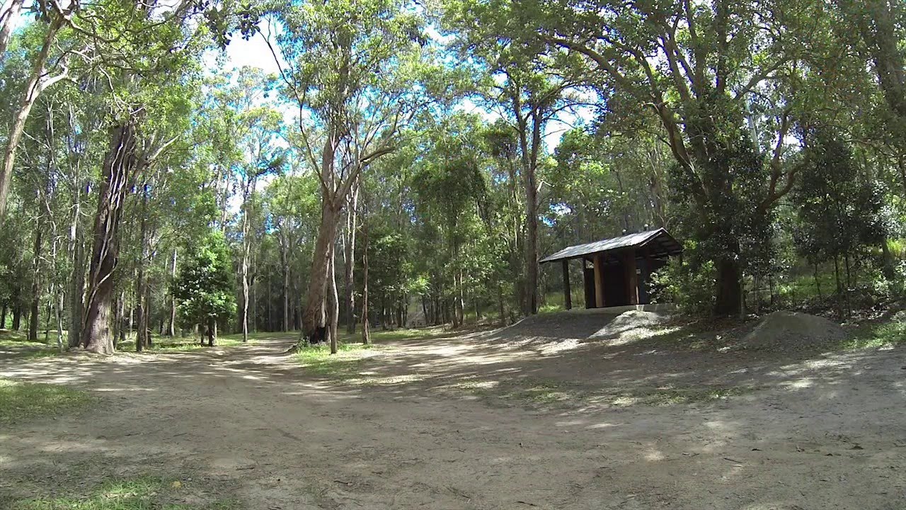 The Diggings, Crediton State Forest, Mackay Hinterland, Qld - YouTube