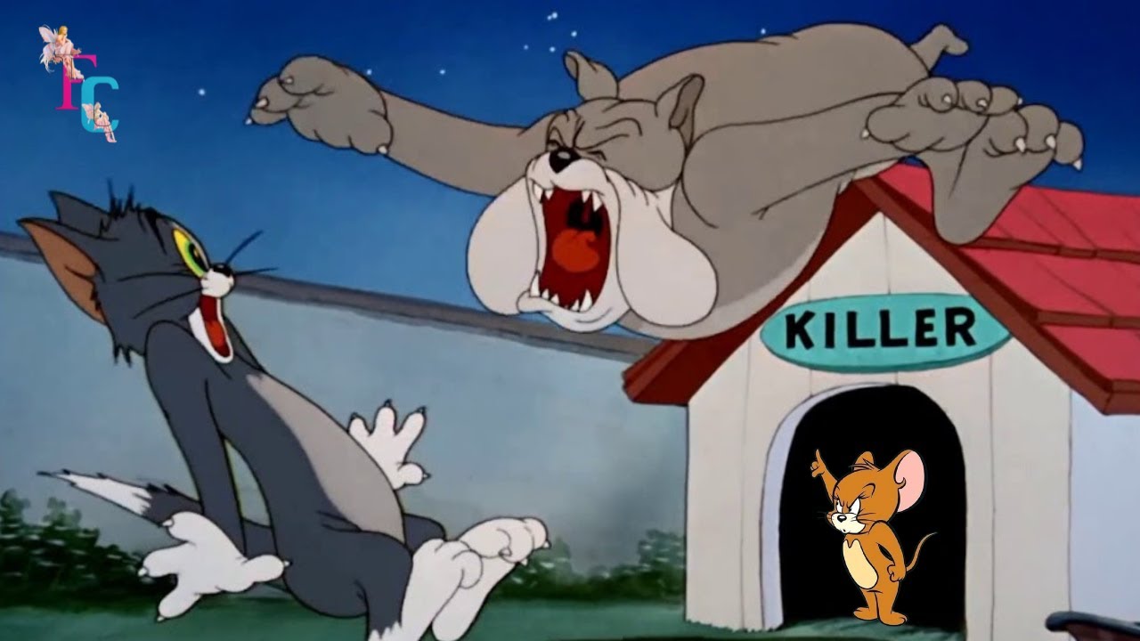 Tom & Jerry Cartoon | Tom & Jerry chase Spike - YouTube
