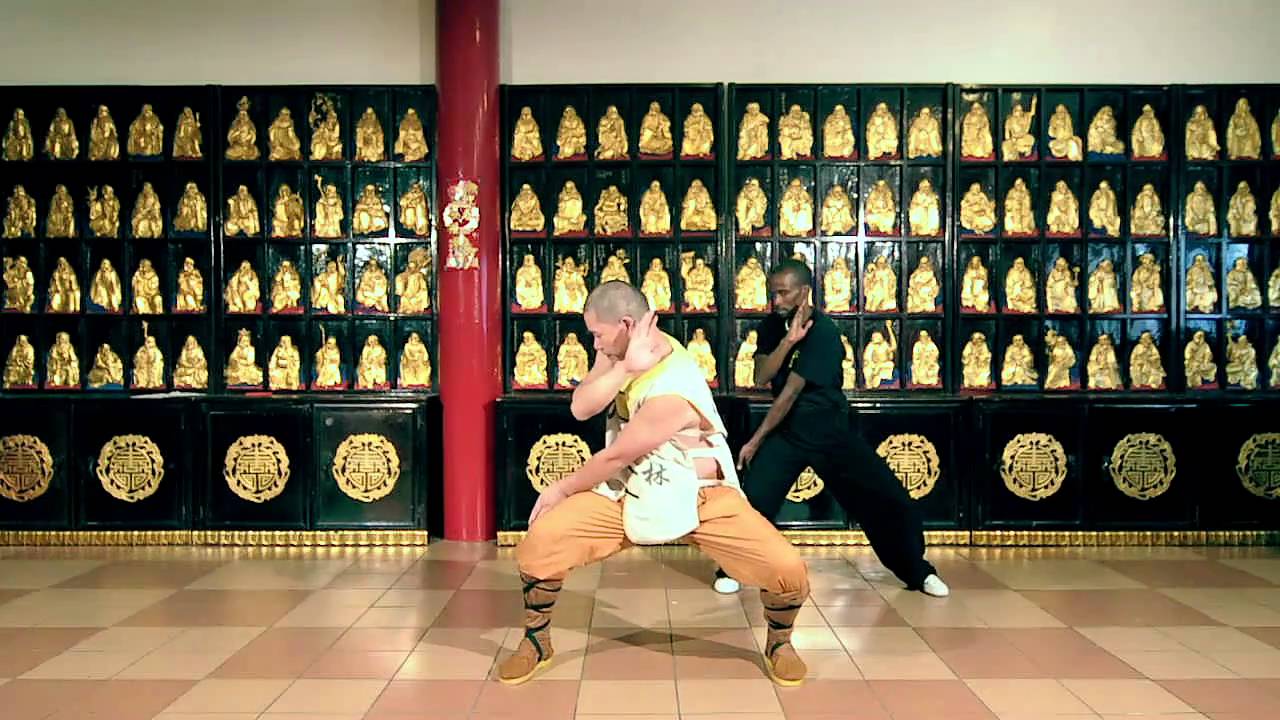 Ba Duan Jin (Eight Section Brocade) by Shi Guolin w/ Mesan Williams ...