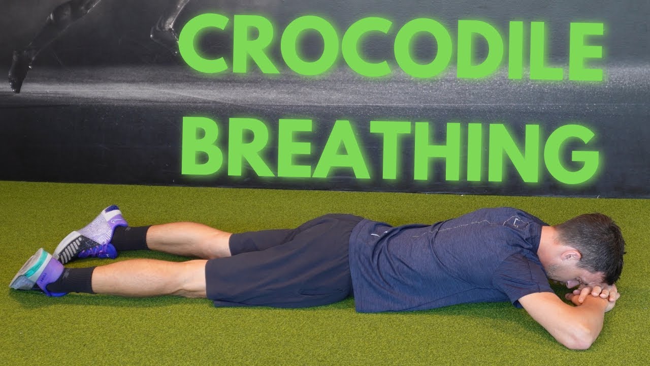 Crocodile Breathing - YouTube