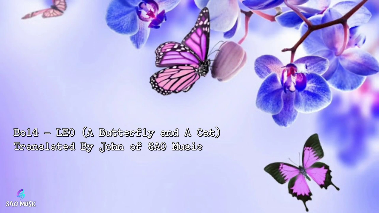 BOL4 - Leo (나비와 고양이) Myanmar Lyric - YouTube