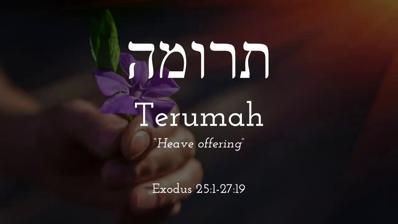 Terumah - Free Biblical Hebrew Lessons, Learn Trope - YouTube