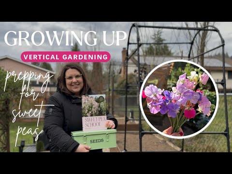 Growing UP! ⬆️🌱 Vertical Gardening & Prepping for Sweet Peas (and ...