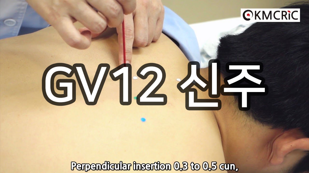 GV12 신주 身柱 Shenzhu (Eng sub) - KMCRIC WHO Standard acupoint DB - YouTube