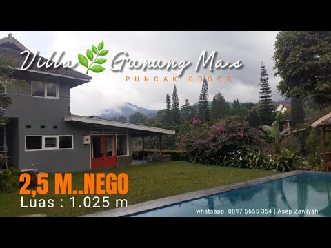 dijual villa di puncak! Vila Gunung Mas Puncak 1.025 meter 2,5 M nego ...