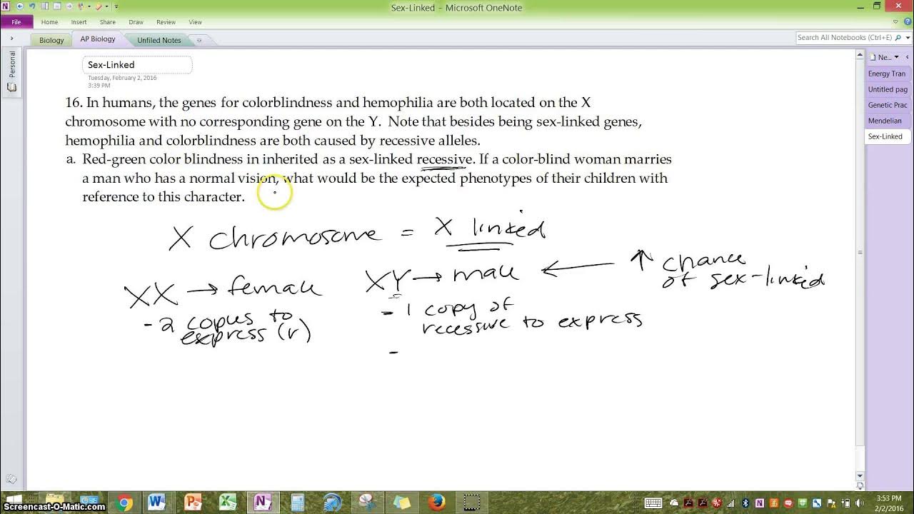 Ellis AP Biology Sex Linked Genetics - YouTube