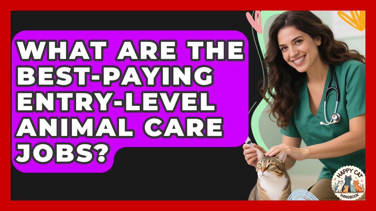 What Are The Best-paying Entry-level Animal Care Jobs? - Animal Care ...