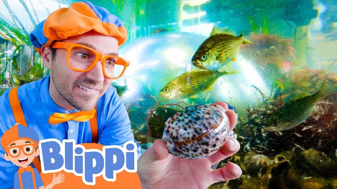 Learn About Sea Creatures and Fish With Blippi | 🔤 Moonbug Subtitles 🔤 ...