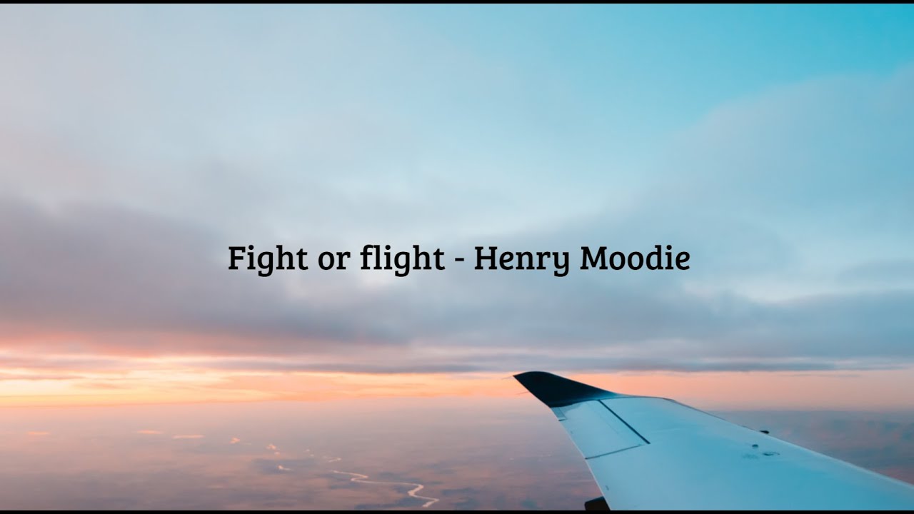 Fight or flight - Henry Moodie (Lyrics) - YouTube