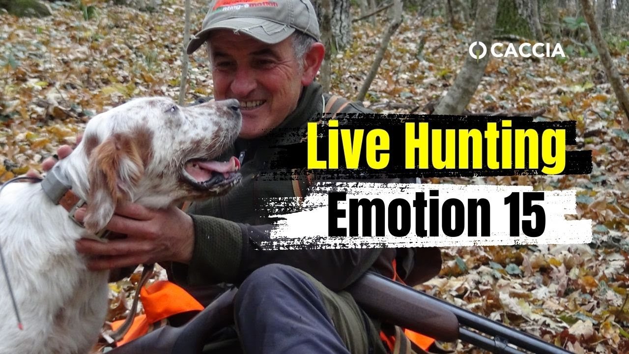 LIVE HUNTING EMOTION 15 - YouTube