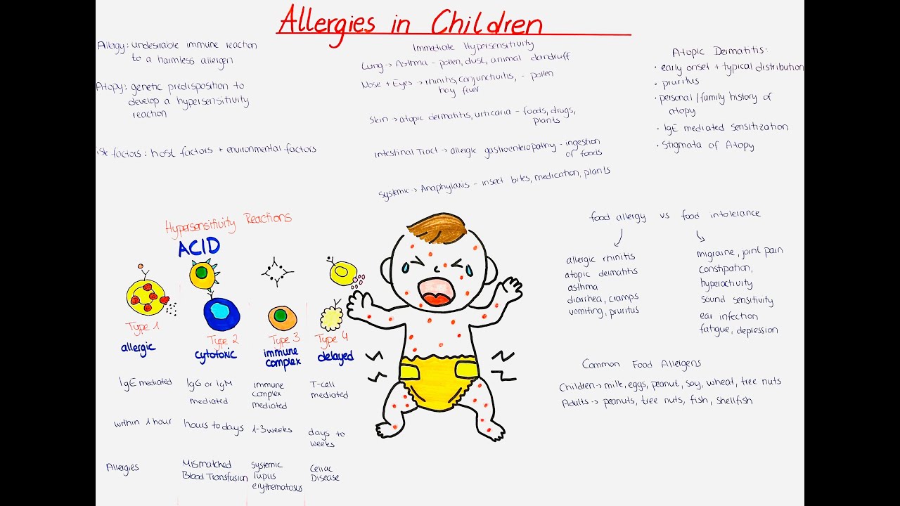 Allergy in Children & Types of Hypersensitivity Reaction - YouTube